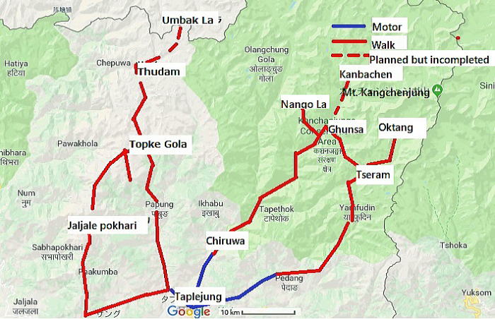 Blues Poppies in the Rain Kingdom